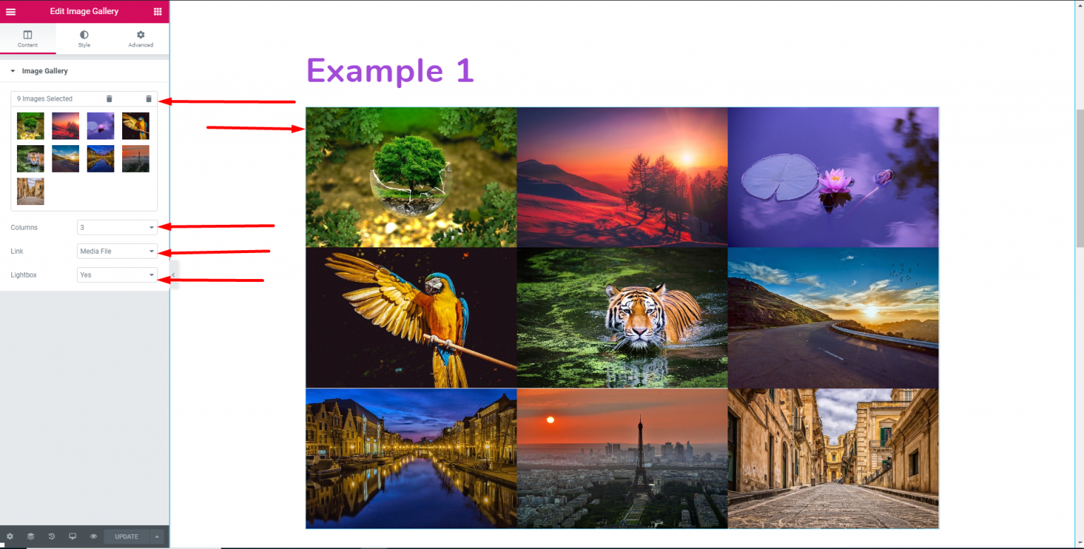 Image Gallery – ClassyDevs